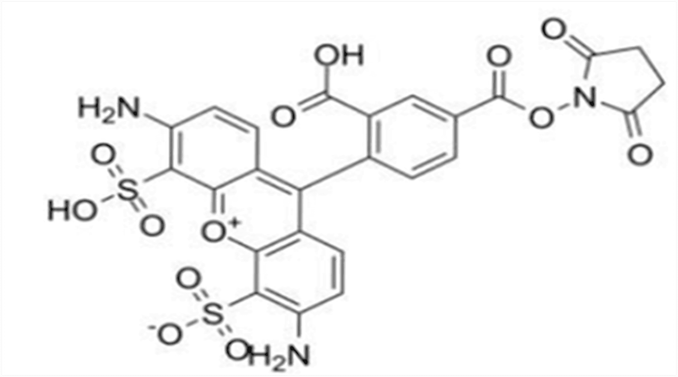 AF488活性酯，Alexa Fluor 488 NHS ester
