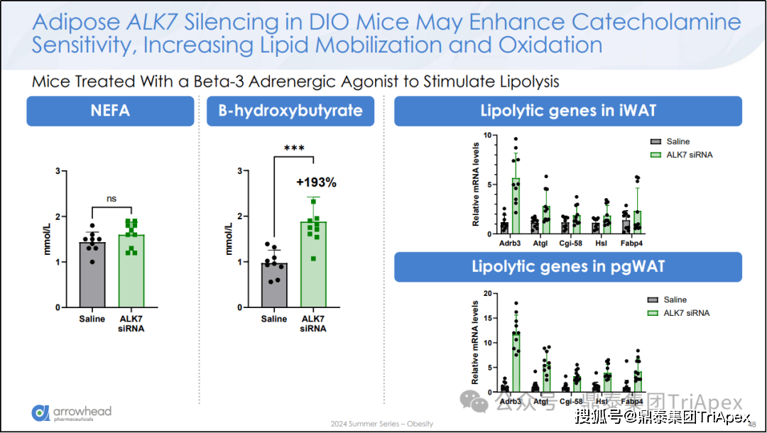不怕贴秋膘！ ALK7 siRNA 脂肪递送、精准减脂，鼎泰 KBI 打造影像学小蛮腰_today_临床_药物
