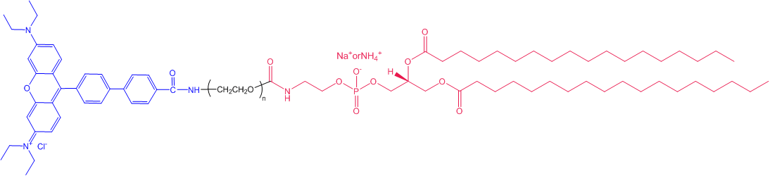 DSPE-PEG-Rhodamine B/RB | Rhodamine B-PEG-DSPE 磷脂-聚乙二醇-罗丹明B_手机搜狐网