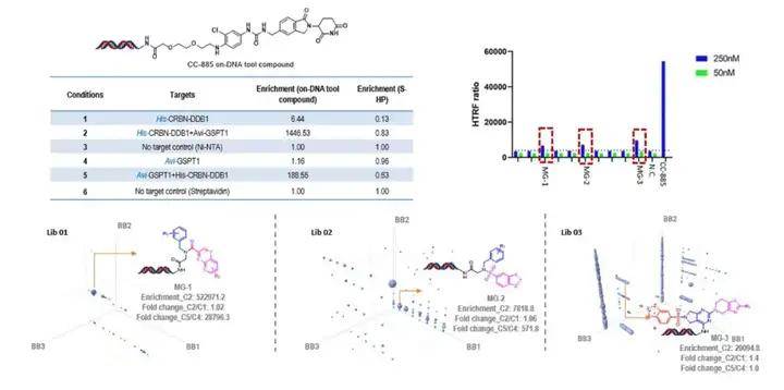 分子胶药物的发现与挑战_蛋白质_化合物_诱导