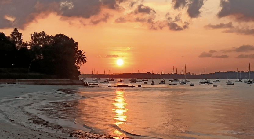 全球最大加油港又出事故！货船在新加坡水域加油作业期间发生漏油_泄漏_Ines_Corrado