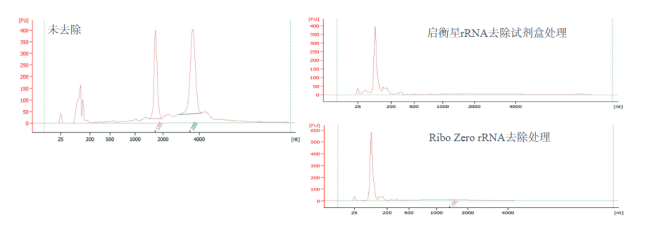精品推荐 | 单一物种rRNA去除试剂盒_RNA-seq_Gold_Ribo-Zero