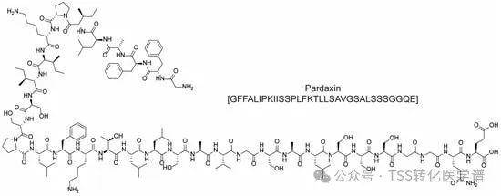 代表性多肽药物总结_治疗_结构_细胞