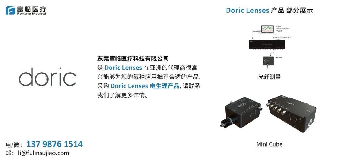 Doric Lenses微型集成荧光显微镜表明Sigma-1 R活化促进氧化应激并增加BBB通透性_线粒体_研究_调节