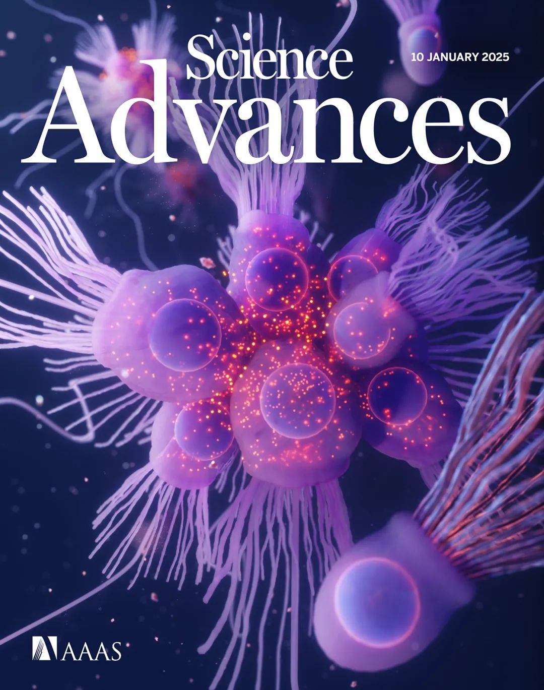 与PNAS齐名的豪门贵子《Science Advances》，审稿速度一流，25年影响因子预测！_期刊_LetPub_中科院