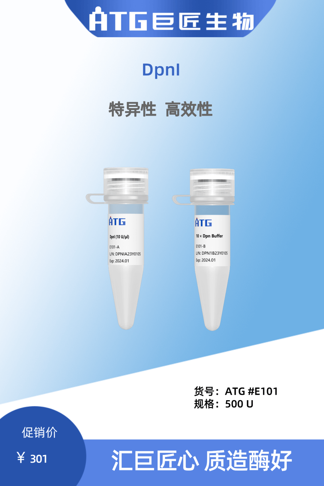 实验丨环形载体残留？DpnI内切酶一招破敌_克隆_Fig_模板