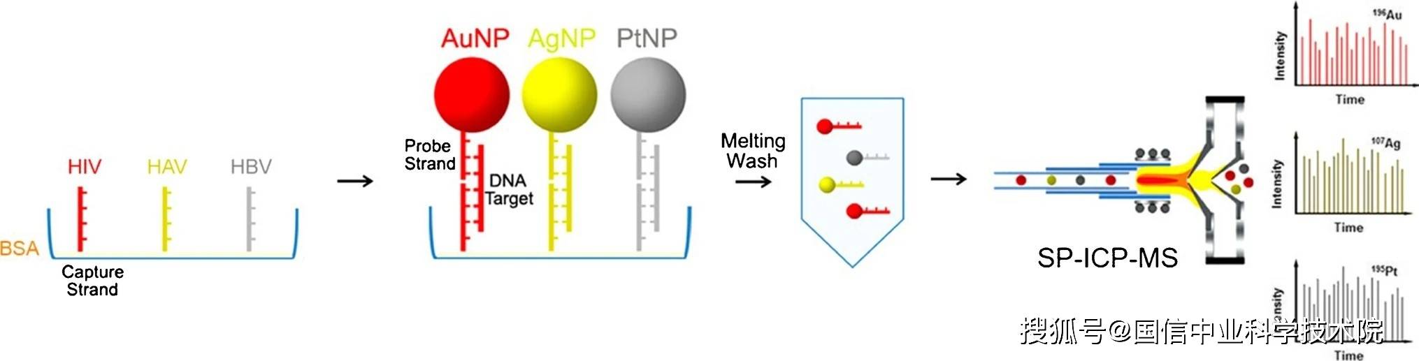 电感耦合等离子体质谱法 (ICP-MS)：基本原理和分析应用_研究_样品_金属