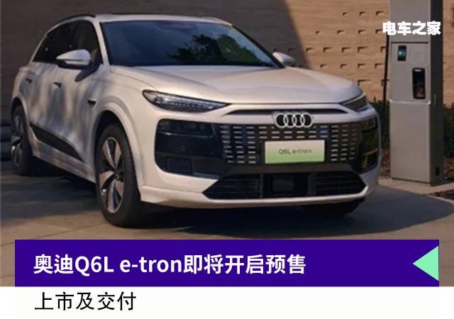 竞争特斯拉Model Y和蔚来ES6，奥迪Q6L e-tron即将开启预售_搜狐汽车_搜狐网