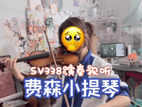 小姐姐用VEAZEN费森小提琴SV338学院系列演奏《流年》