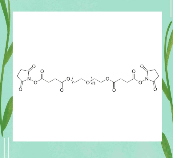 Succinimidyl Succinate ester-PEG-Succinimidyl Succinate ester：其分子两端都连接有 ...