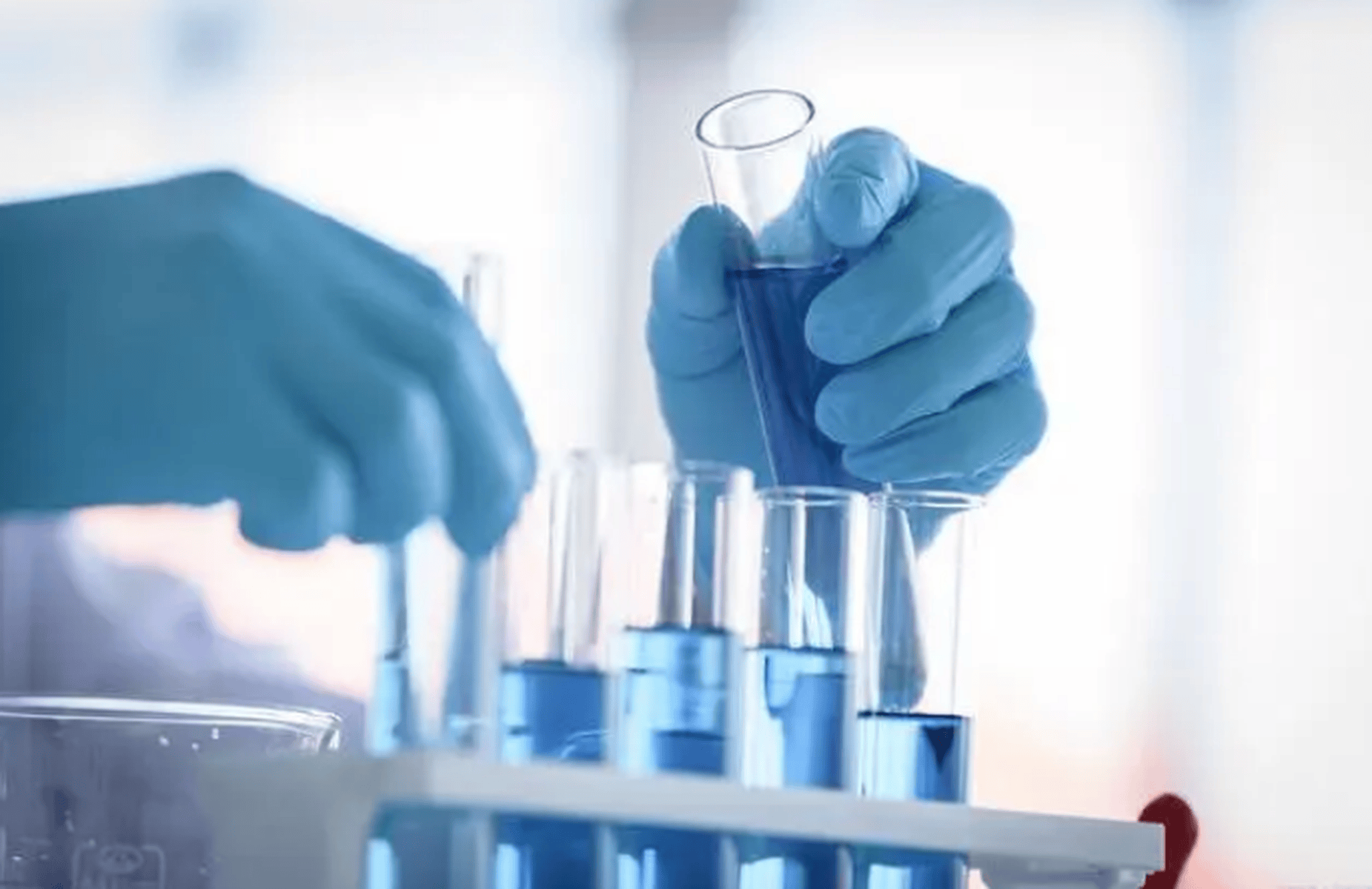 BODIPY TR-Ceramide，主要应用于活细胞中的高尔基体染色