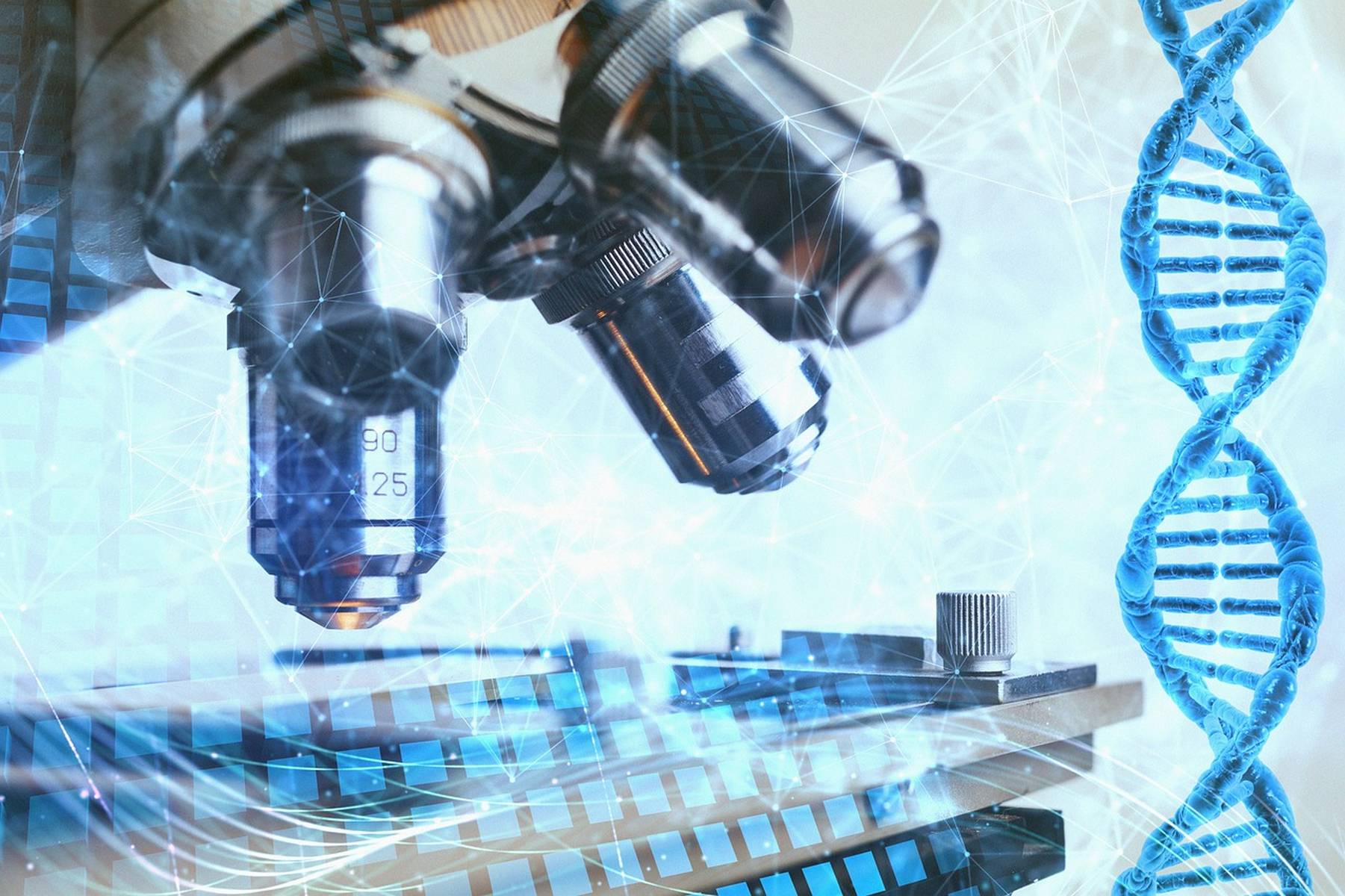 AF546 番茄凝集素，可用于细胞表面糖基化研究