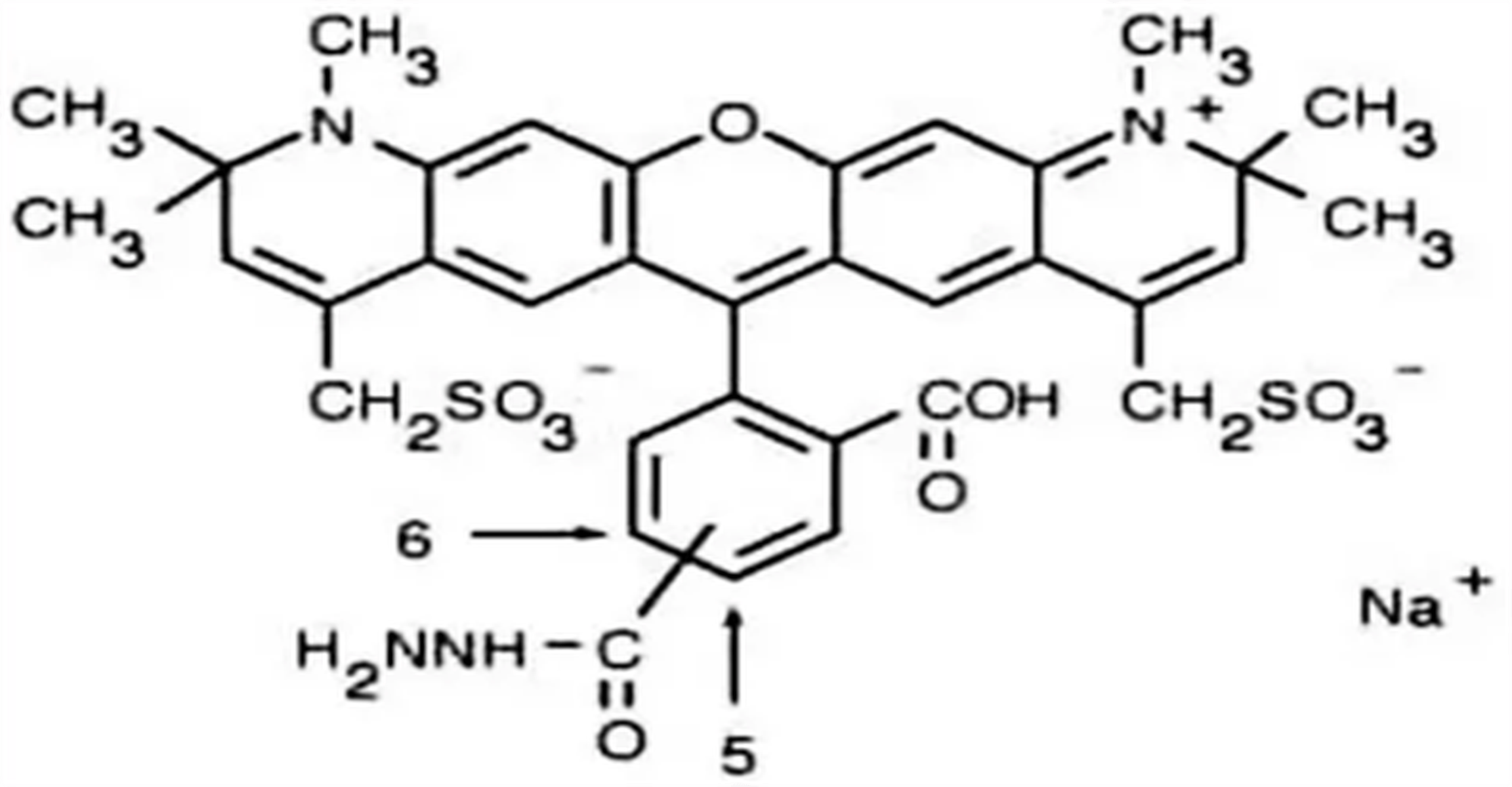 Alexa Fluor 594 酰肼，AF 594 酰肼