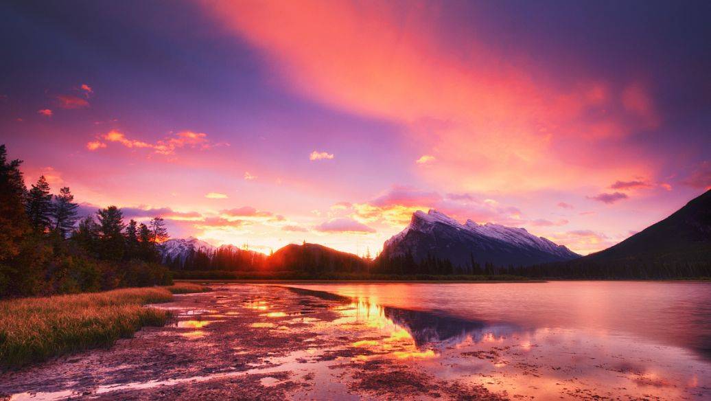 奥迪a4l价格多少_搜狐汽车_搜狐网