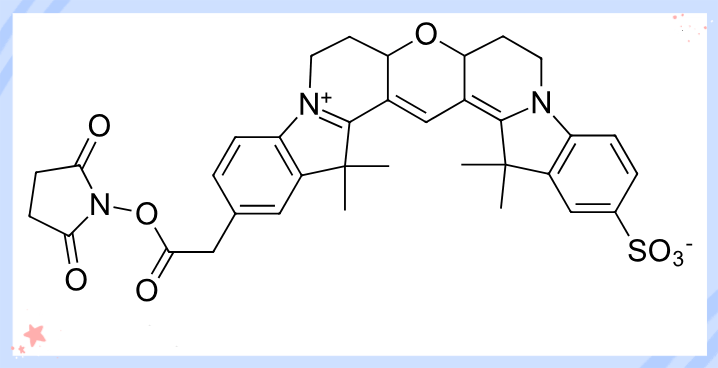 Cy3B NHS ester，228272-52-4可以用于些生物分子的荧光标记_手机搜狐网