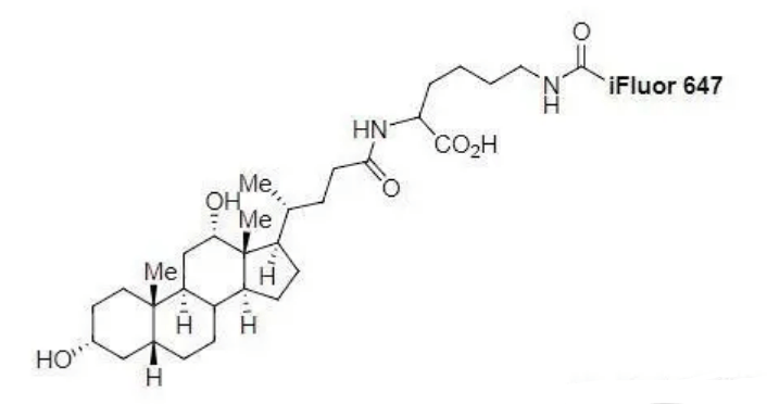 Deoxycholic acid-iFluor 647 conjugate具有良好的细胞膜穿透性_搜狐网