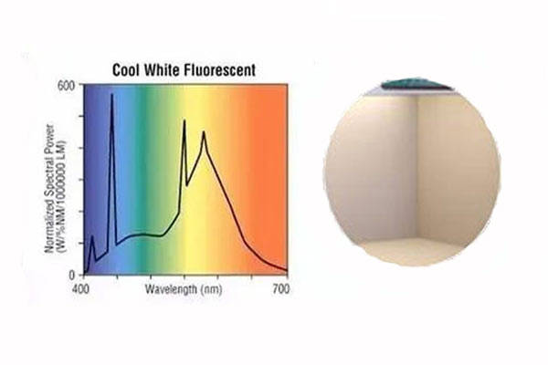 TL84和D65是什么光源？TL84和D65光源有什么区别？_颜色_标准_光谱