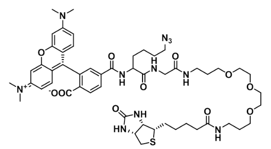 TAMRA-azide-PEG3-Biotin，四甲基罗丹明-叠氮-三聚乙二醇-生物素_试剂_琥珀_内容