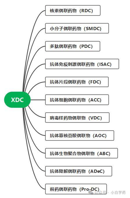 XDC：各类新型偶联药物，除了ADC，还有它们……_抗体_分子_肿瘤