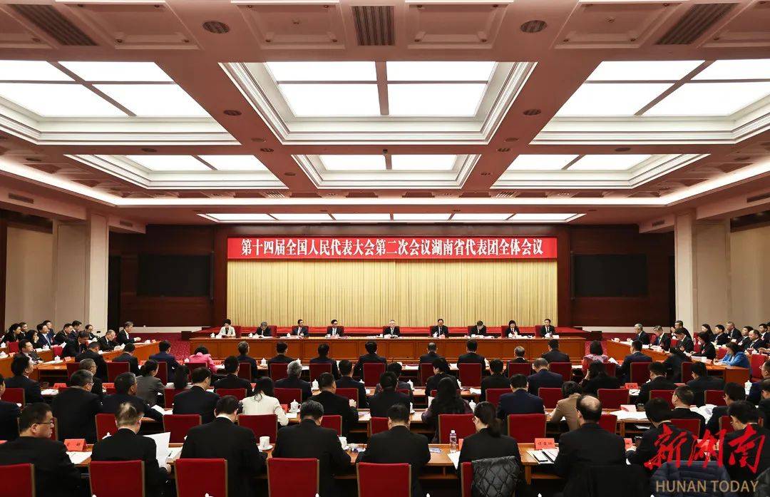 湖南代表团举行第五次全体会议_工作_法治_建设