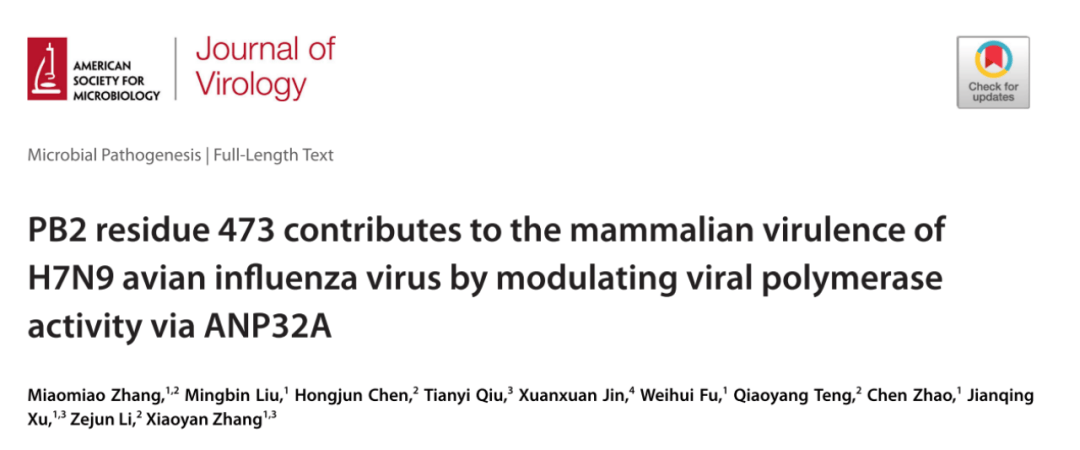 J Virol｜复旦大学徐建青/张晓燕团队揭示H7N9禽流感病毒PB2蛋白473位点通过调节病毒聚合酶活性促进对哺乳动物的致病性_基因_研究性