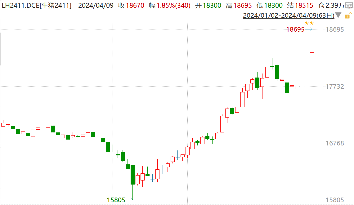 生猪远期合约三连涨再刷新高，畜牧养殖ETF(516670)日内深V反转，尾盘显著溢价！_产能_周期_二级市场