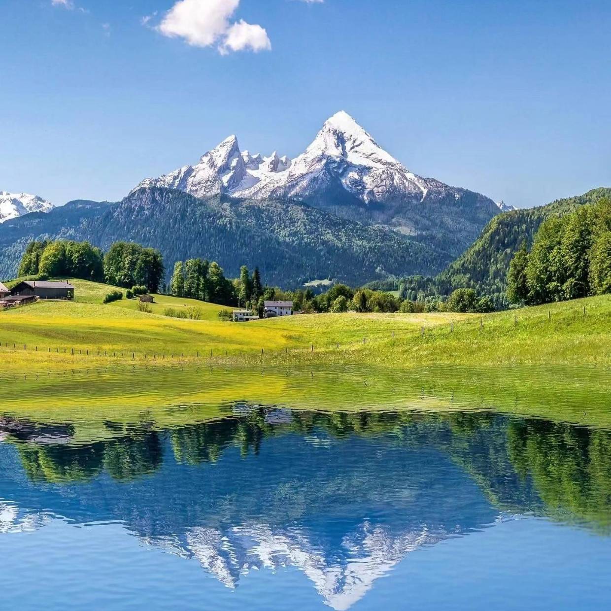 如何高效进行Huvec内皮细胞的siRNA转染？_试剂_基因功能_毒性