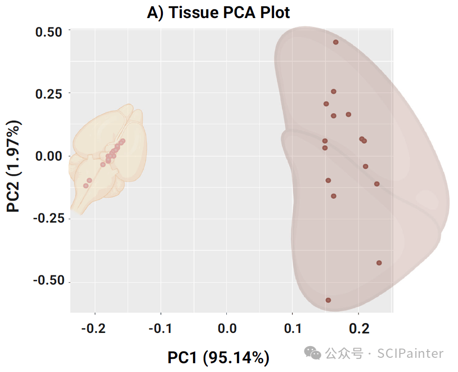 如何让你的PCA图更加生动有趣？_工具_剪影_素材