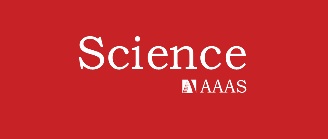 北京大学/中国人民大学，Science！_单晶_光学_single