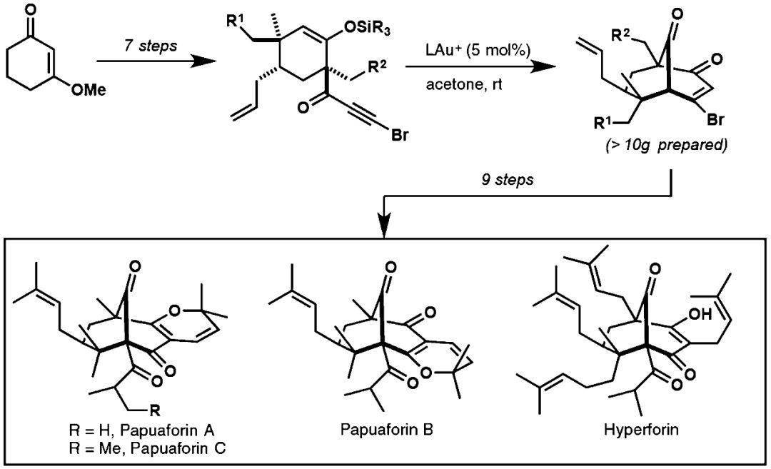 常见金催化剂_反应_AuCl_合成