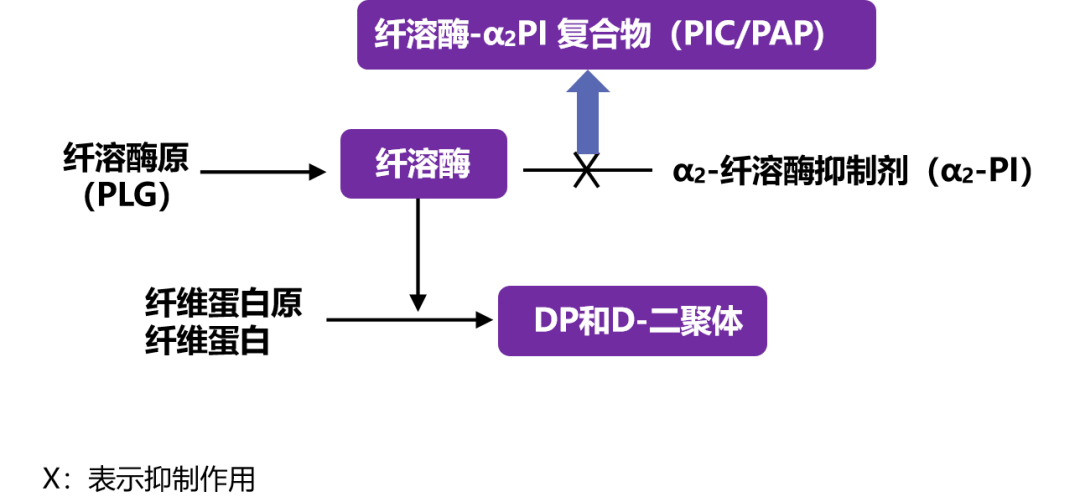 血栓四项（TAT、PIC、t-PAIC、TM）的临床意义解读_诊断_凝血酶_系统