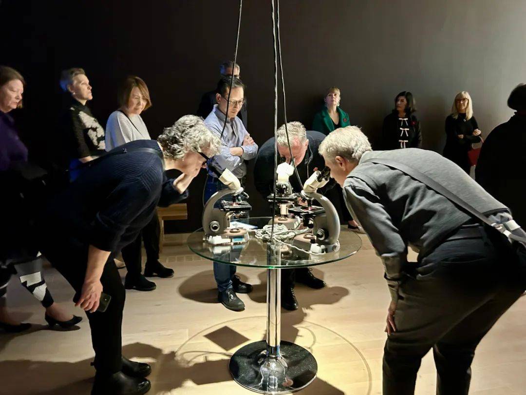 【好去处】Polygon美术馆林德双年展揭幕 华裔Casey Wei入围新锐艺术家奖_黄忆欣_作品_星岛