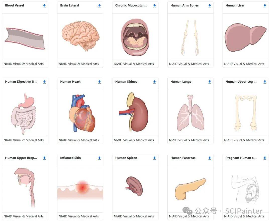如何轻松完成论文或PPT所需的科研插图？_素材_BioArt_https