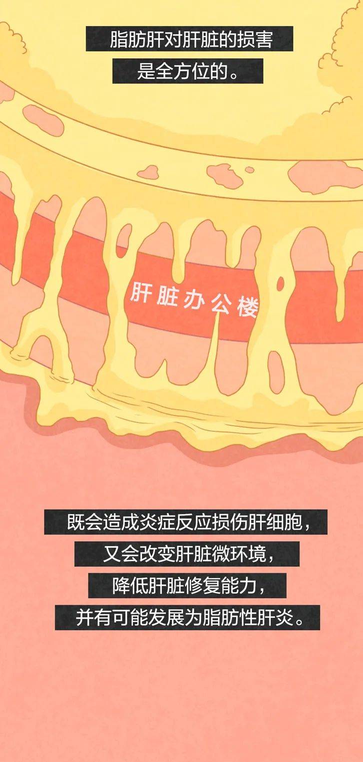 你的肝是怎么一步步被透支掉的?不要忽略它的求救信号!侵权中国疾控中心版权