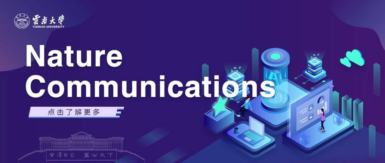 Nature Communications | 胡万彪团队发文揭示二维铁电材料离子占位与迁移机制_研究_极化_位置