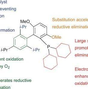 Buchwald-Hartwig偶联反应中常见的配体_DavePhos_催化_Chem
