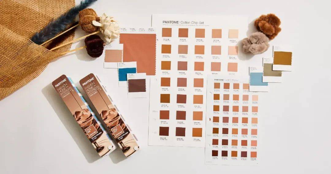 PANTONE（潘通）2025年度代表色_摩卡_设计_棕色