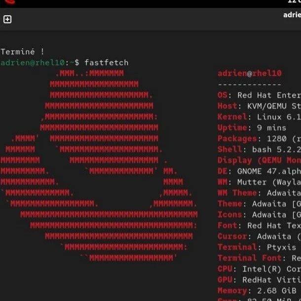 Beta 版红帽 RHEL 10 发布：基于 Linux 6.11.0 内核，Lightspeed AI 版首秀_Podman_用户_Hat
