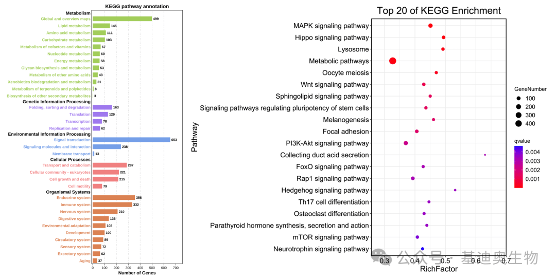 趋势分析添加新成员，使用教程看这里！_Mfuzz_进行_基因