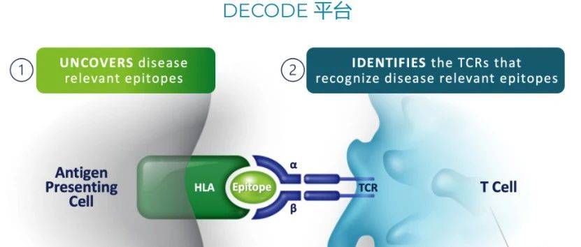 一文了解 | 顶级风投Flagship孵化的mRNA创新型企业_Moderna_投资公司_疫苗