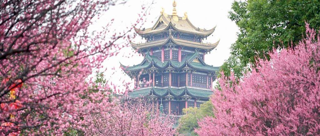 Convenient night tours of Hong’en Temple Forest Park_and_鸿恩寺