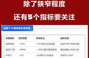 冠脉CTA报告中的“黄金指标”：除了狭窄程度，还有5个指标要关注_循环_-Rentrop_血管