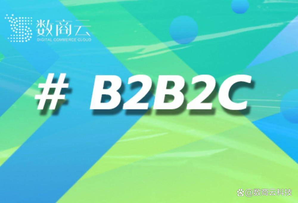 如何搭建高效B2B2C商城方案？从规划到上线全流程指南｜数商云_用户_商品_管理层