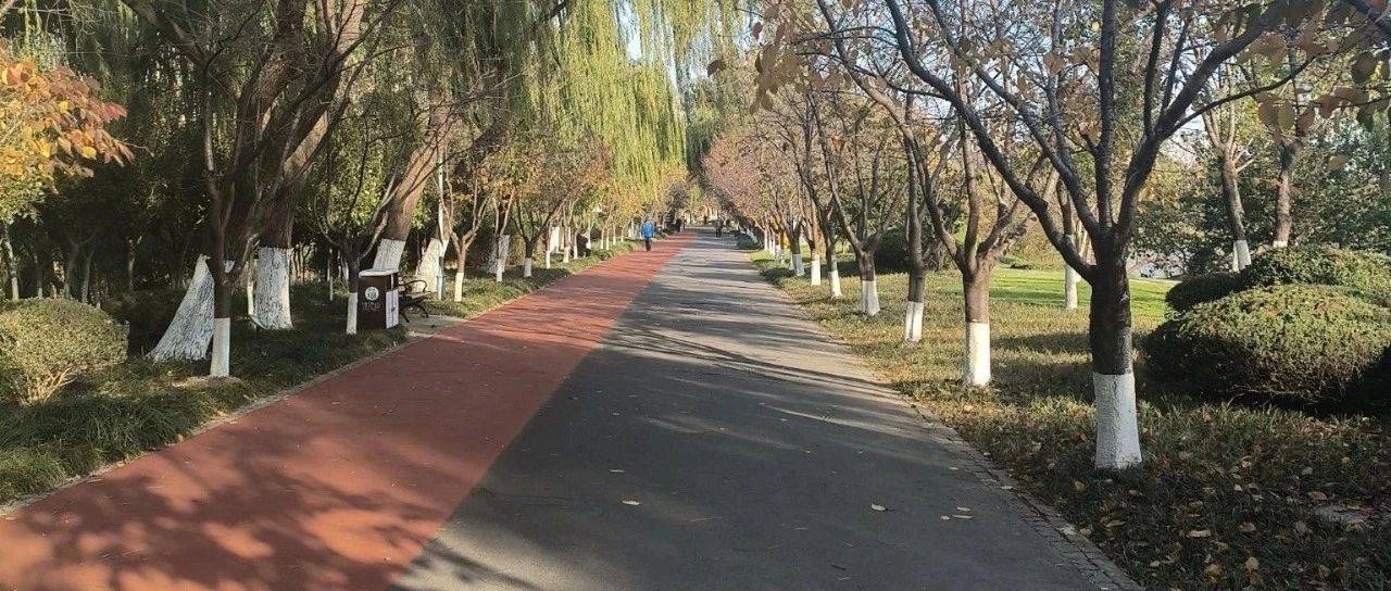 最后一次和你散步_平度_时候_母亲