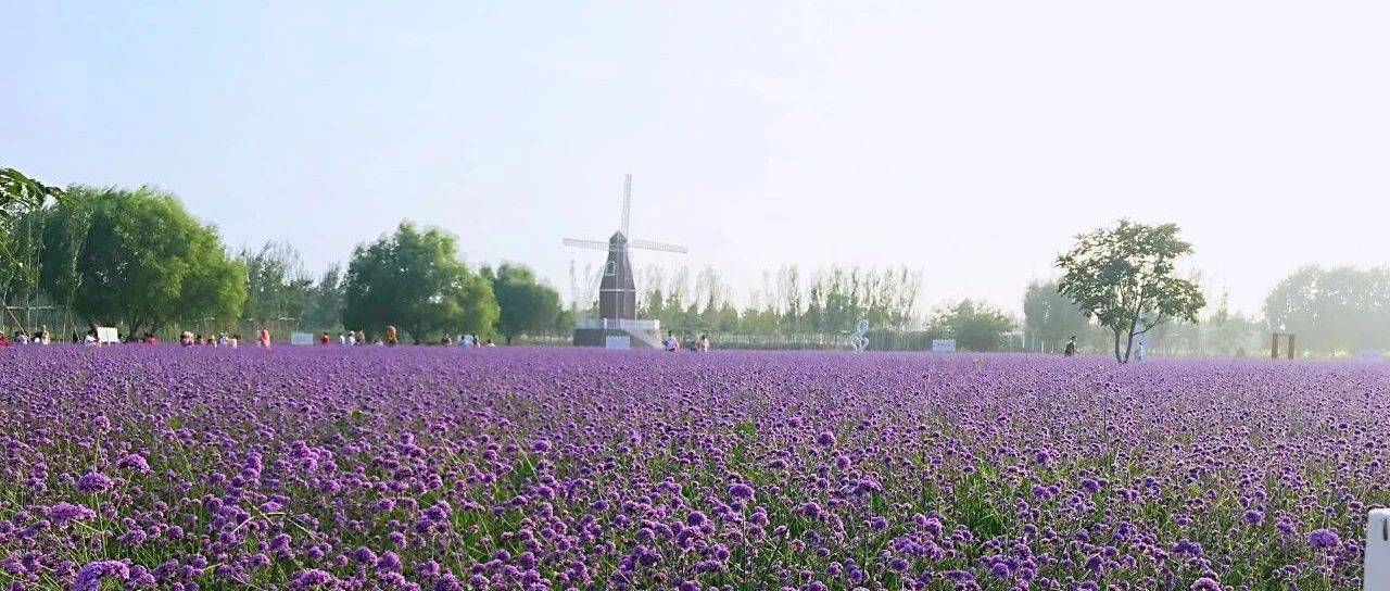 “一个项目卖给欧莱雅，这家精品PE收获9倍回报”_Medik_Isaacs_Elliot