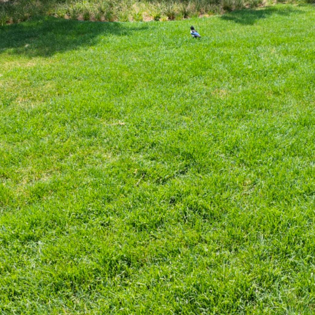 广电福兔卡真实体验分享，每月19元192G流量卡是否划算_通用_套餐_用户