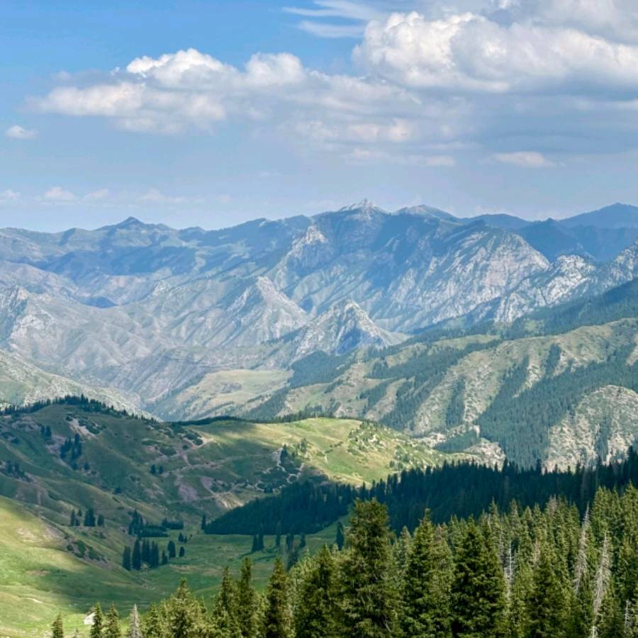 17-0完美开局！中国男篮90-68大胜约旦，五将上双全胜出线_中国队_约旦队_比赛