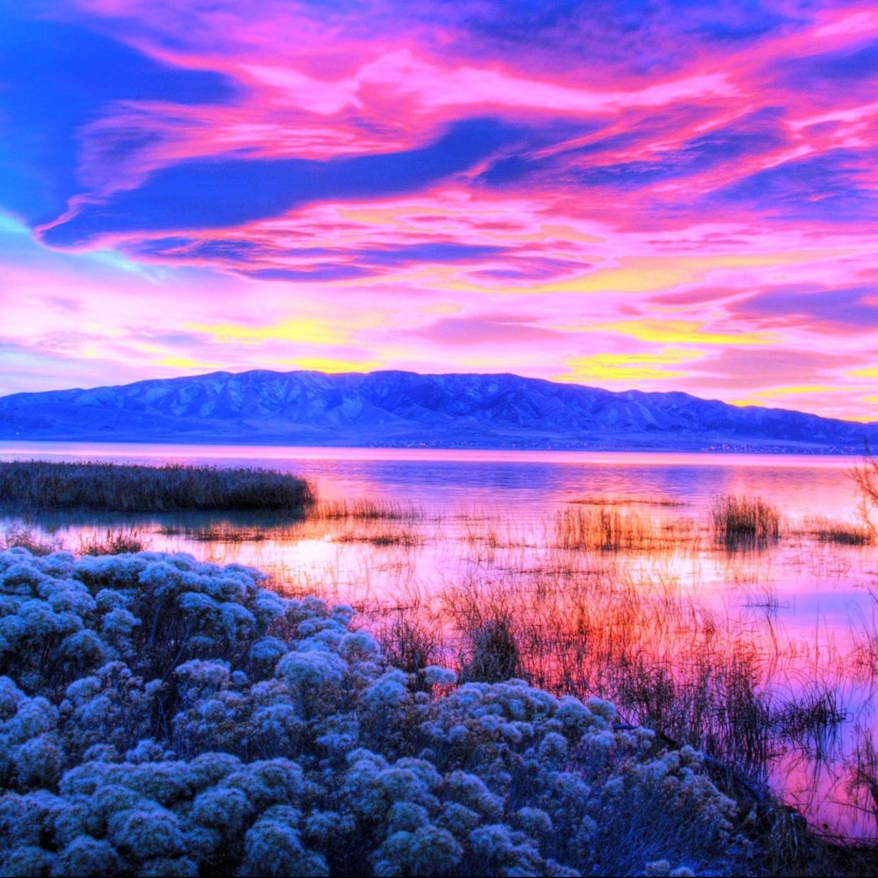 《731》日本女军官设定细思极恐，背后隐喻太深，堪称全片最大争议_观众_影片_电影