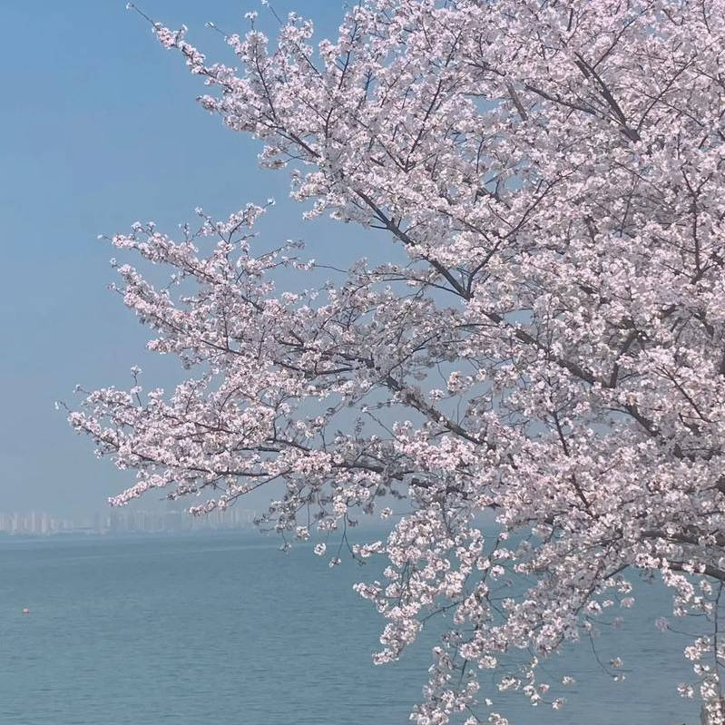 2026石材加工领域1325型石材雕刻机性能深度评测报告_主轴_单头_精度