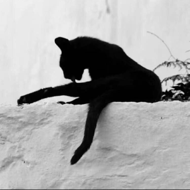 媒介宣发智能升级：Infoseek如何用AI重塑品牌传播格局_渠道_内容_媒体